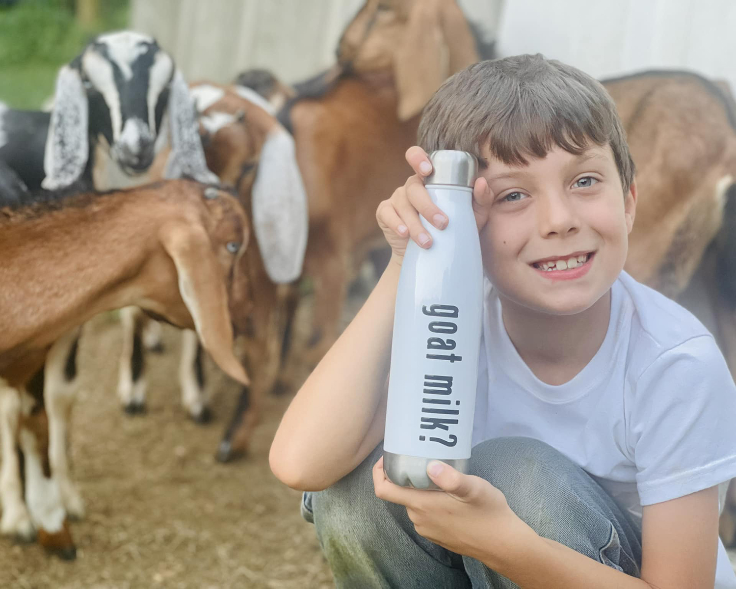 Shop – Goat Milk Revolution
